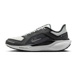 Nike Pegasus 41 GTX Herren