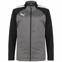 Puma Athletic Jacket 'Team Liga' male Grey size L