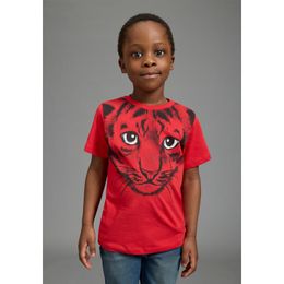 Kidsworld Jungen Kidsworld T-Shirt &raquo;Mit tollem Druck: LITTLE TIGER&laquo; Kurzarm, Basic-Passform, mit peppigem Druck, Rundhalsausschnitt 92/98