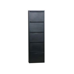 ebuy24 Schuhschrank Pisa Schwarz 50 x 16 cm | Gr.: onesize