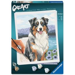 Ravensburger Kreativit&auml;t Australian Shepherd Merlin in bunt | Gr.: onesize