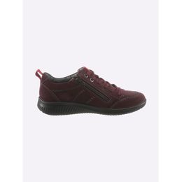Jomos Schn&uuml;rschuh in bordeaux | Gr.: 40