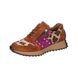 Waldl&auml;ufer WALDL&Auml;UFER Schn&uuml;rschuhe Superfit Pinky in cognac/munk/rost | Gr.: 4