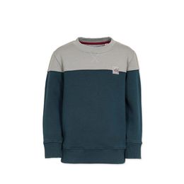 Band of Rascals Sweat " Off My Shoulders " in moos-racing-green | Gr.: 122/128