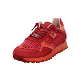 CETTI Sneaker Low in rot | Gr.: 45