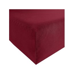 Formesse Spannbettlaken Bella Donna in weinrot | Gr.: 90x190 cm - 100x220 cm