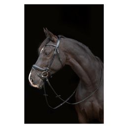 Cheval de Luxe Trensenzaum Genova schwarz WB