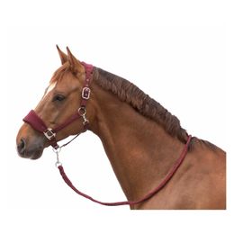 Horse-friends Halfter-Set Rouen rot Pony