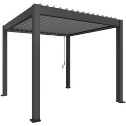Pergola BioHort "3x3 m, verschiedene Farben", grau (dunkelgrau, metallic), B:312cm T:312cm, Pergolen, 312x312x264 cm, ausgezeichnet mit dem Red Dot Design Award