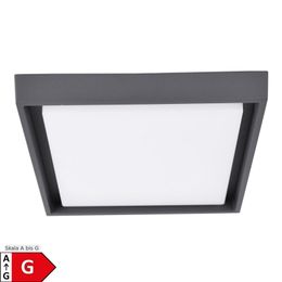 N&auml;ve N&auml;ve LED Au&szlig;endeckenleuchte IP54 "MIO" s:34cm