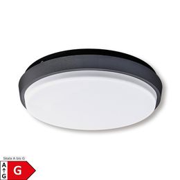 N&auml;ve N&auml;ve LED Au&szlig;endeckenleuchte IP54 "MIO" d:17,5cm