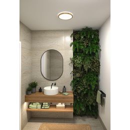 Paulmann LED Panel "Atria Shine 3000K IP44 White Select rund", 1, &Oslash; 29,8cm H: 3,5cm, 1 Stk.holzfarben, Badezimmer, Leuchten, Farbwechsler,