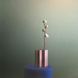 marburg Vliestapete "Tapete Gl&auml;nzendes Uni", B/L: 0,7m x 10,05m, Rollen: 1, gold, Wohnzimmer, Tapeten, moderne Vliestapete f&uuml;r Wohnzimmer