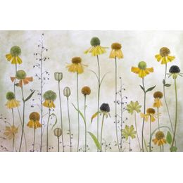 papermoon Fototapete "Photo-Art MANDY DISHER, HELENIUM", B/L: 4m x 2,6m, Bahnen: 8 Stk., bunt, Schlafzimmer, Tapeten