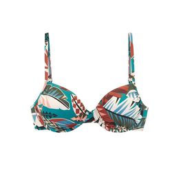 Buffalo Bikini Top female Blue size 38