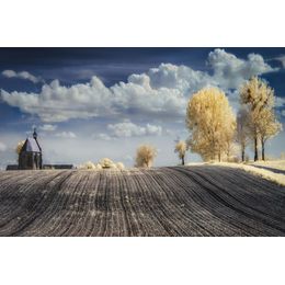 papermoon Fototapete "Photo-Art PIOTR KROL (BAX), IRENKOWO", B/L: 5m x 2,8m, Bahnen: 10 Stk., bunt, Schlafzimmer, Tapeten