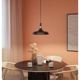 Paulmann Pendelleuchte "Juna", 1, &Oslash; 34,2cm H: 110cm, 1 Stk.schwarz matt, champagner, Esszimmer, Leuchten, E27, dimmbar