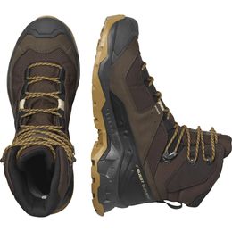 Salomon Herren Wanderschuh "QUEST ELEMENT GORE-TEX", Gr. 47delicioso, schwarz, dull gold, Leder, Schuhe, wasserdicht
