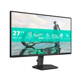 Philips Evnia 27M2N3200NF, Gaming-Monitor 68.5 cm (27 Zoll), dunkelgrau, FullHD, IPS, HDMI, DP, G-Sync-komp., Adaptive-Sync, 144Hz Panel