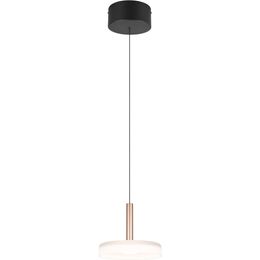 Trio LEUCHTEN LED Pendelleuchte "CELESTE dimmbare LED H&auml;ngelampe aus Metall und Glas, 10W 1100 Lumen", braun (coffee), 1, &Oslash; 22cm H: 200cm, 1 Stk., Leuchten, einfach h&ouml;henverstellbar von 50-200 cm, &Oslash; 22cm, 3-Stufen Dimmfunktion, LED Pendelleuchte