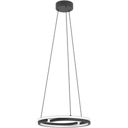 Eglo H&auml;ngeleuchte "MEZZOMONTE Pendellampe - Alu, Stahl - LED;LED - 1X20W;1X20W - IP20", schwarz, 2, &Oslash; 48cm H: 110cm, 1 Stk., Leuchten, H&auml;ngelampe, Deckenlampe, Wohnzimmer, Esszimmer, H110 x &Oslash;48 cm, H&auml;ngeleuchte
