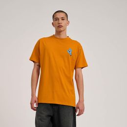 T-Shirt Santa Cruz "WOODLAND MINI STRIP FRONT T-SHIRT", Damen, Gr. S, braun (amber), Obermaterial: 100% Baumwolle, Shirts T-Shirt