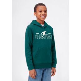 Kapuzensweatshirt Champion "Graphic Terry Hoodie", Jungen, Gr. L (152/158), stor, Obermaterial: 54% Baumwolle, 46% Polyester, Sweatshirts Kapuzensweatshirt, f&uuml;r Kinder, sportlicher Stil, mit Kapuze, bequemer Schnitt