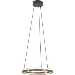Eglo H&auml;ngeleuchte "MEZZOMONTE Pendellampe - Alu, Stahl - LED;LED - 1X20W;1X20W - IP20", bronze, schwarz, 2, &Oslash; 48cm H: 110cm, 1 Stk., Leuchten, H&auml;ngelampe, Deckenlampe, Wohnzimmer, Esszimmer, H110 x &Oslash;48 cm, H&auml;ngeleuchte