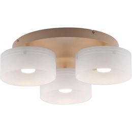 Paul Neuhaus LED Deckenleuchte "MARIKA", sand, 3, &Oslash; 40cm H: 15,5cm, 1 Stk., Leuchten, Stufenlos dimmbar &uuml;ber den Lichtschalter, Memoryfunktion, Opalgl&auml;ser, LED Deckenleuchte