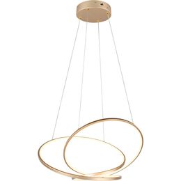 Trio LEUCHTEN LED Pendelleuchte "DARVIN, LED H&auml;ngelampe 52W 6700 Lumen, dimmbar, Lichtfarbe einstellbar", gold (goldfarben), 1, H: 150cm, 1 Stk., Leuchten, CCT 2300/3000/4000K warmwei&szlig;-kaltwei&szlig;, h&ouml;henverstellbar bis max 150cm, LED Pendelleuchte