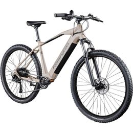 Remington XR01 E Bike Mountainbike 29 Zoll Pedelec 10 G&auml;nge 540 Wh Akku Fahrrad Hardtail MTB