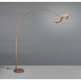 Trio LED-Bogen-Stehlampe Amador, kaffeebraun, H&ouml;he 205 cm Metall