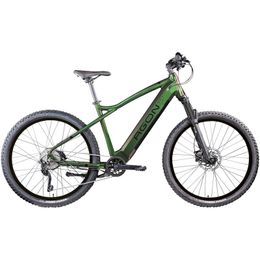 agon Unisex agon &raquo;Alpha&laquo; 10 Gang Deore SGS T6000 Schaltwerk Kettenschaltung Heckmotor 250 W Pedelec, Elektrofahrrad f&uuml;r Damen u. Herren, MTB gr&uuml;n