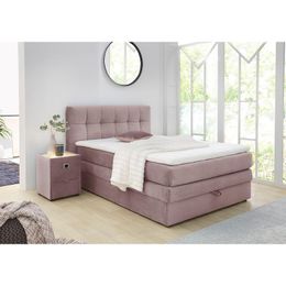 Jockenh&ouml;fer Boxspringbett &raquo;Amy&laquo; mit Bettkasten und Kaltschaum-Topper, erh&auml;ltlich in 120, 140 & 180cm rosa Bezug Bett: samt&auml;hnlich (100% Polyester);Topper und 