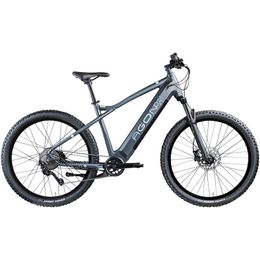 agon Unisex agon &raquo;Alpha&laquo; 10 Gang Deore SGS T6000 Schaltwerk Kettenschaltung Heckmotor 250 W Pedelec, Elektrofahrrad f&uuml;r Damen u. Herren, MTB grau