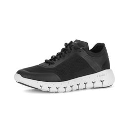 Gabor Herren Sneaker &raquo;Sneaker low&laquo; 42,5