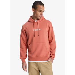 Quiksilver Herren Kapuzensweatshirt &raquo;FINELINE HOODIE&laquo; XL (54)