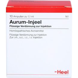 Heel Aurum Injeel Ampullen 10 St