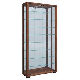 ebuy24 Vitrinenschrank LumoMaxi 8 Braun 59 x 18 cm | Gr.: onesize