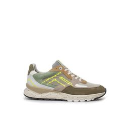 Floris van Bommel Sneaker in gr&uuml;n | Gr.: 40 2/3