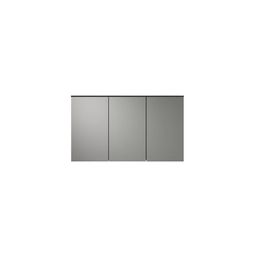 ebuy24 Spiegelschrank Synnax Grau 120 x 17 cm | Gr.: onesize
