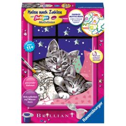 Ravensburger Verlag GmbH Nonbook - Ravensburger Malen nach Zahlen 27995 - Schlafende Katzen - Kinder ab | Gr.: onesize