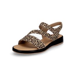 Gabor Comfort Sandale in Leo | Gr.: 40