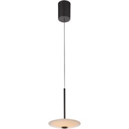 Paul Neuhaus LED Pendelleuchte "ELIPSA", schwarz, 1, &Oslash; 20cm H: 80cm, 1 Stk., Leuchten, Dimmf&auml;hig &uuml;ber separaten Tronicdimmer, Comfort-Lift, LED Pendelleuchte