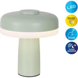 N&auml;ve N&Auml;VE LED Tischleuchte "Pilu", gr&uuml;n (mint), 1, H: 16,5cm, 1 Stk., Leuchten, Akku, inkl. USB-Kabel 80cm, stufenweise dimmbar per Ber&uuml;hrungssensor, LED Tischleuchte
