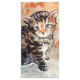 Alu-Dibond-Druck Artland "Katze", beige (farbe bild(er): naturfarben), B:20cm H:40cm, Bilder, f&uuml;r Innen- und Au&szlig;enbereich geeignet, Outdoorbild
