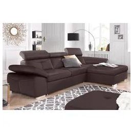 Ecksofa exxpo - SOFA FASHION "Spring, super bequem, mit Armteil- und Kopfteilfunktion", braun, B:284cm H:81cm T:181cm, Luxus-Microfaser (100% Polyester);Struktur (100% Polyester);NaturLEDER (echtes Rindsleder) in Sitz und R&uuml;cken. Korpus in passendem Kunstleder SOFTLUX bezogen, Sofas, Ecksofa, L-Form, wahlweise mit Bettfunktion und Bettkasten