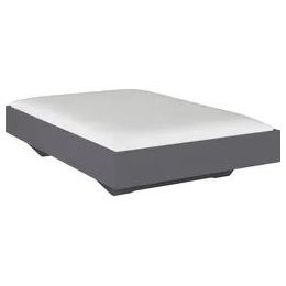 Futonbett Rauch "Phoenix", grau (graumetallic), B:145cm H:41cm L:206cm, Betten, Futonbett, ohne Kopfteil
