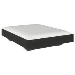 Futonbett Rauch "Phoenix", grau (grau hochglanz), B:165cm H:41cm L:206cm, Betten, Futonbett, ohne Kopfteil
