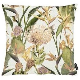 Dekokissen Apelt "6522", beige, B:49cm L:49cm, Bezug: 70% Polyester, 30% Baumwolle, Dekokissen_Sitzkissen_Kissenh&uuml;llen, Kissenh&uuml;lle ohne F&uuml;llung, 1 St&uuml;ck